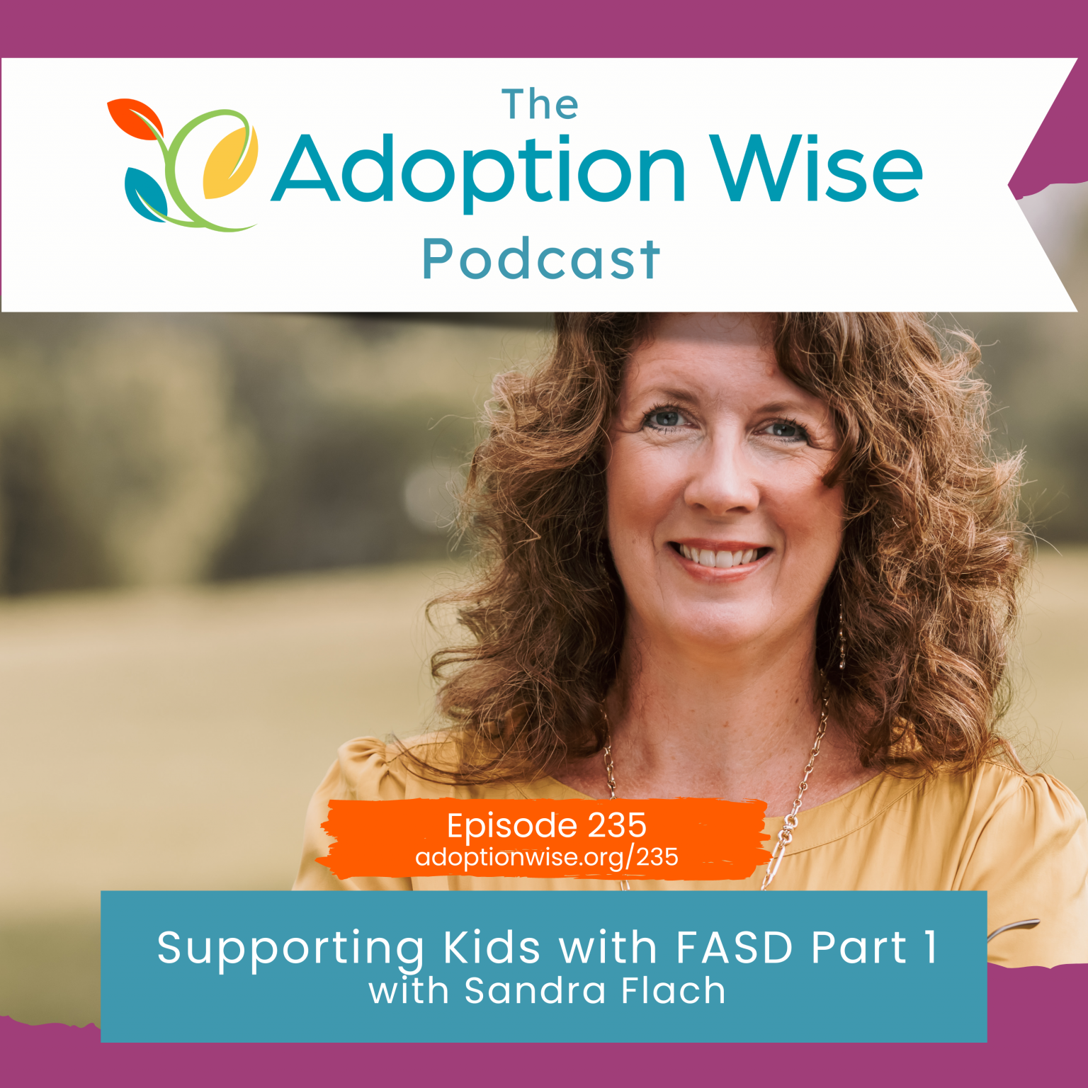 #235: [workshop] Supporting Kids with FASD Part 1 with Sandra Flach – Adoption Wise